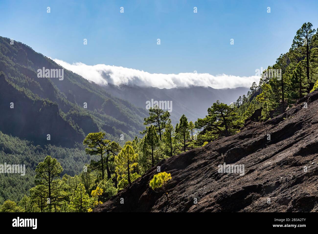 Cloud waterfall phenomenon at La Palma island, Spain near viewpoint ...