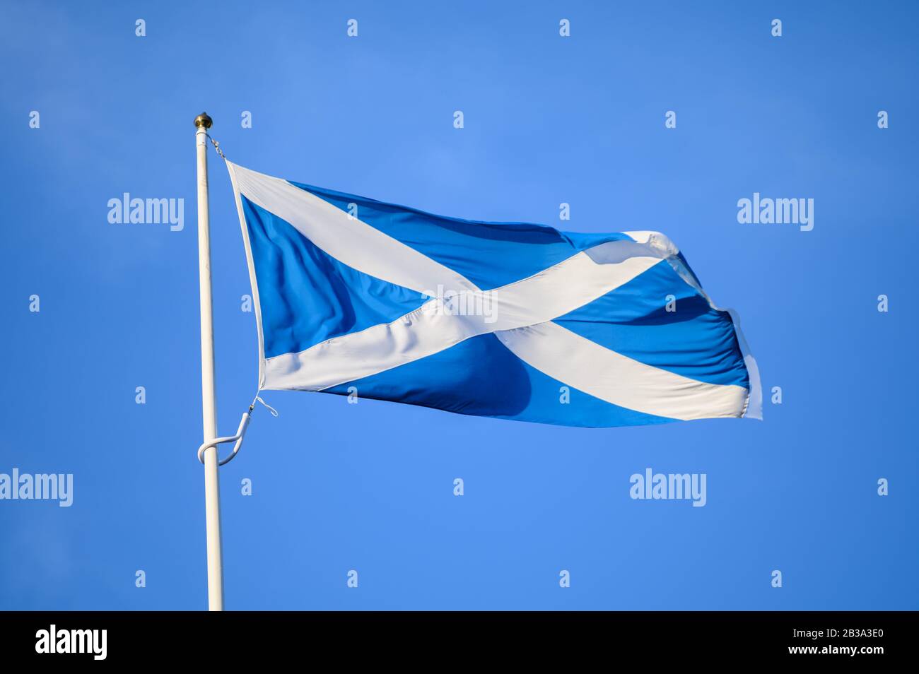 Saltire, national flag of Scotland with sky blue field and background ...