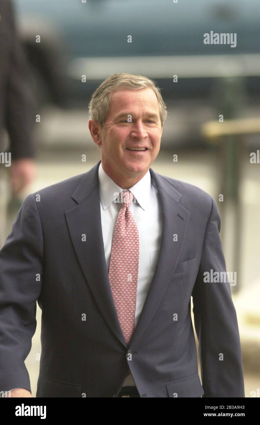 Count these leaves hi-res stock photography and images - Alamy