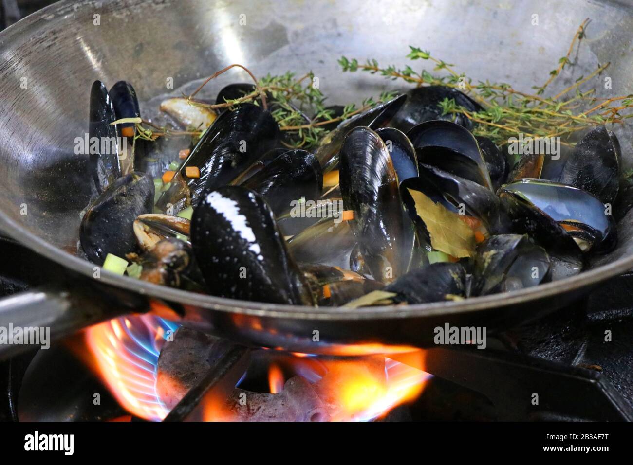 steamed mussels in a pot on a fire Stock Photo - Alamy