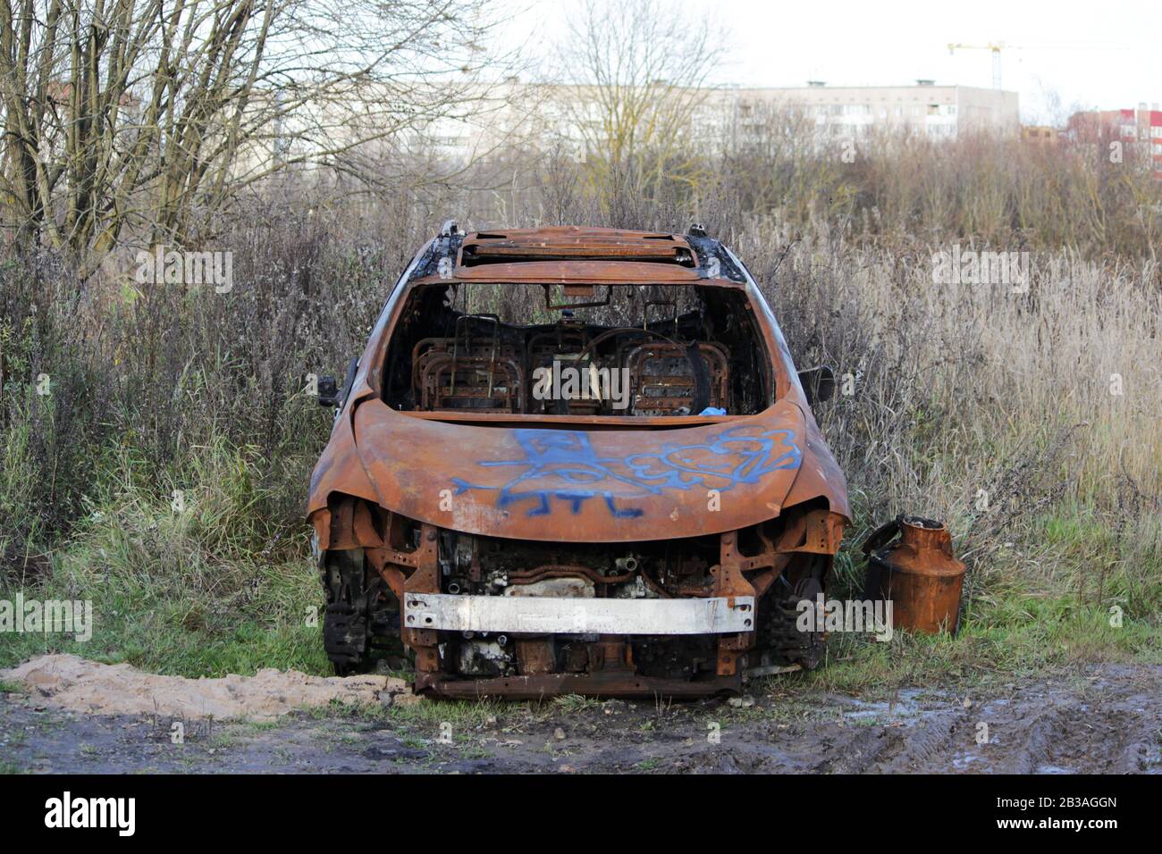 skeleton from a burnt passenger car is in the forest. rusty skeleton ...