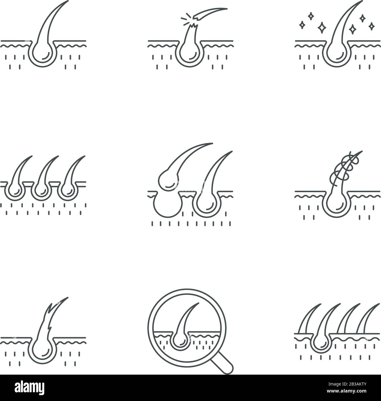 Damaged Hair Follicles