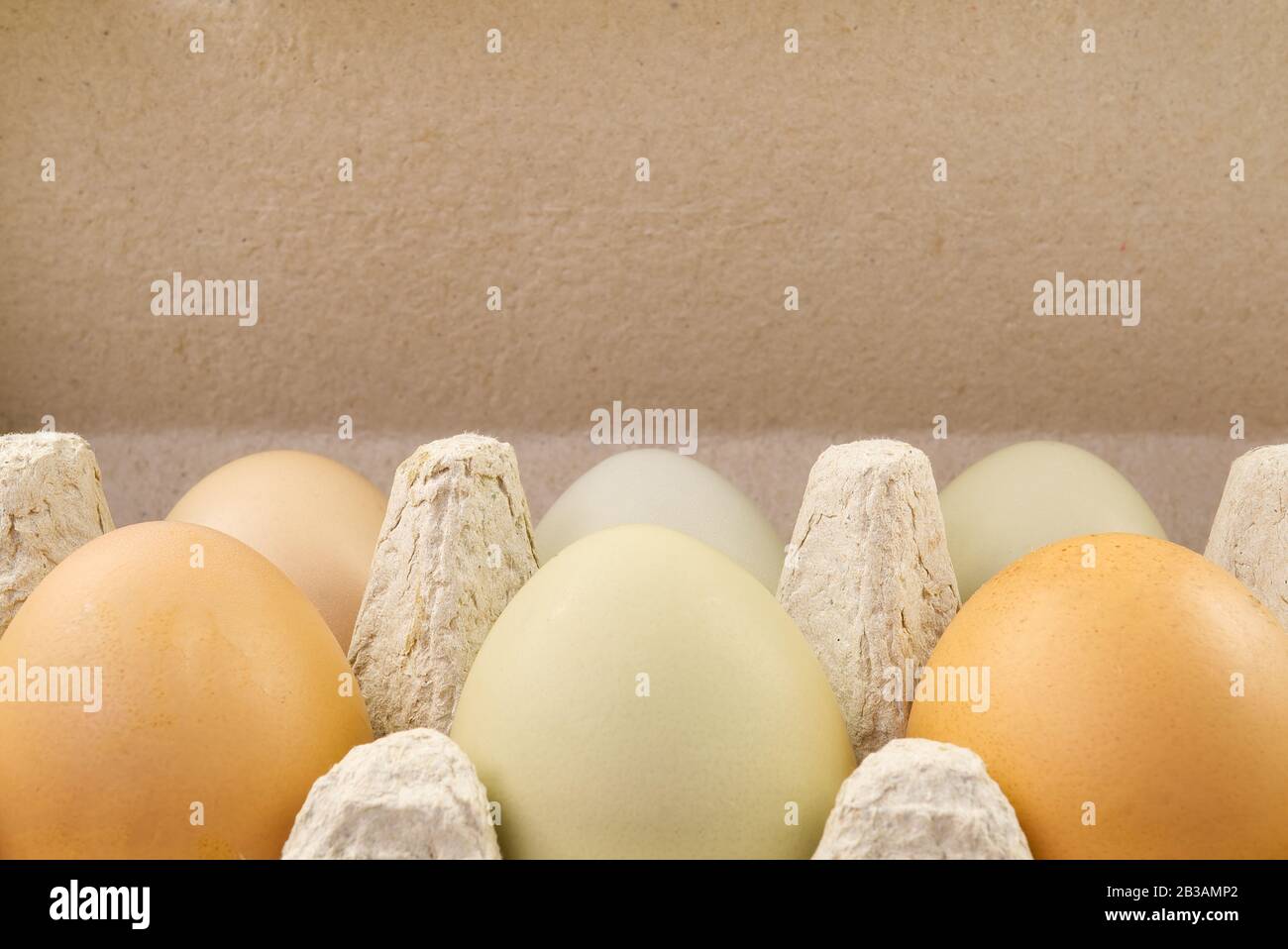 goose and chicken eggs in a cardboard box. Ecological eggs from the ...