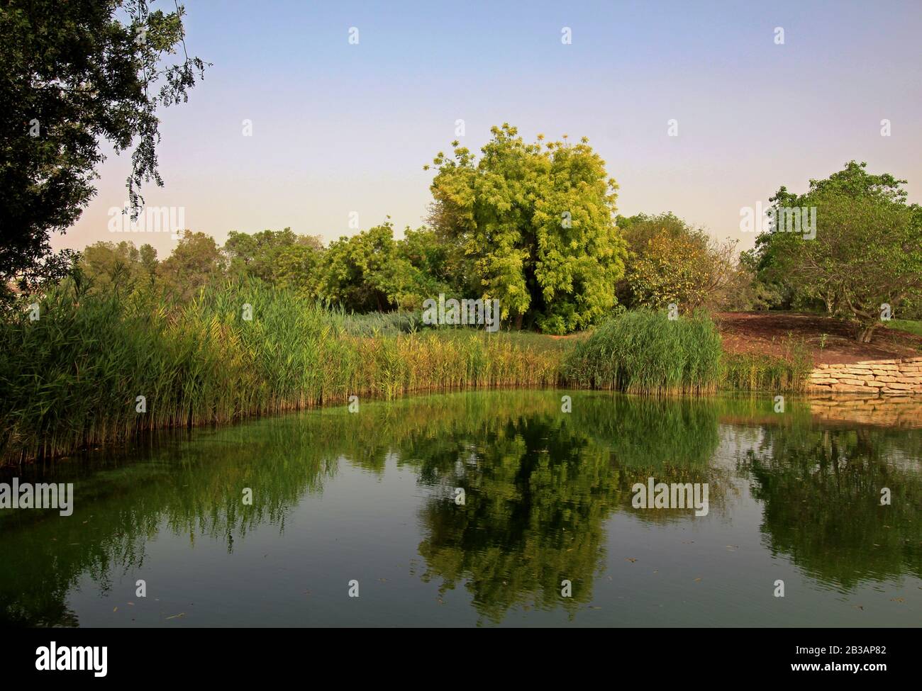 Beautiful lake surrounded by evergreen trees hi-res stock photography ...