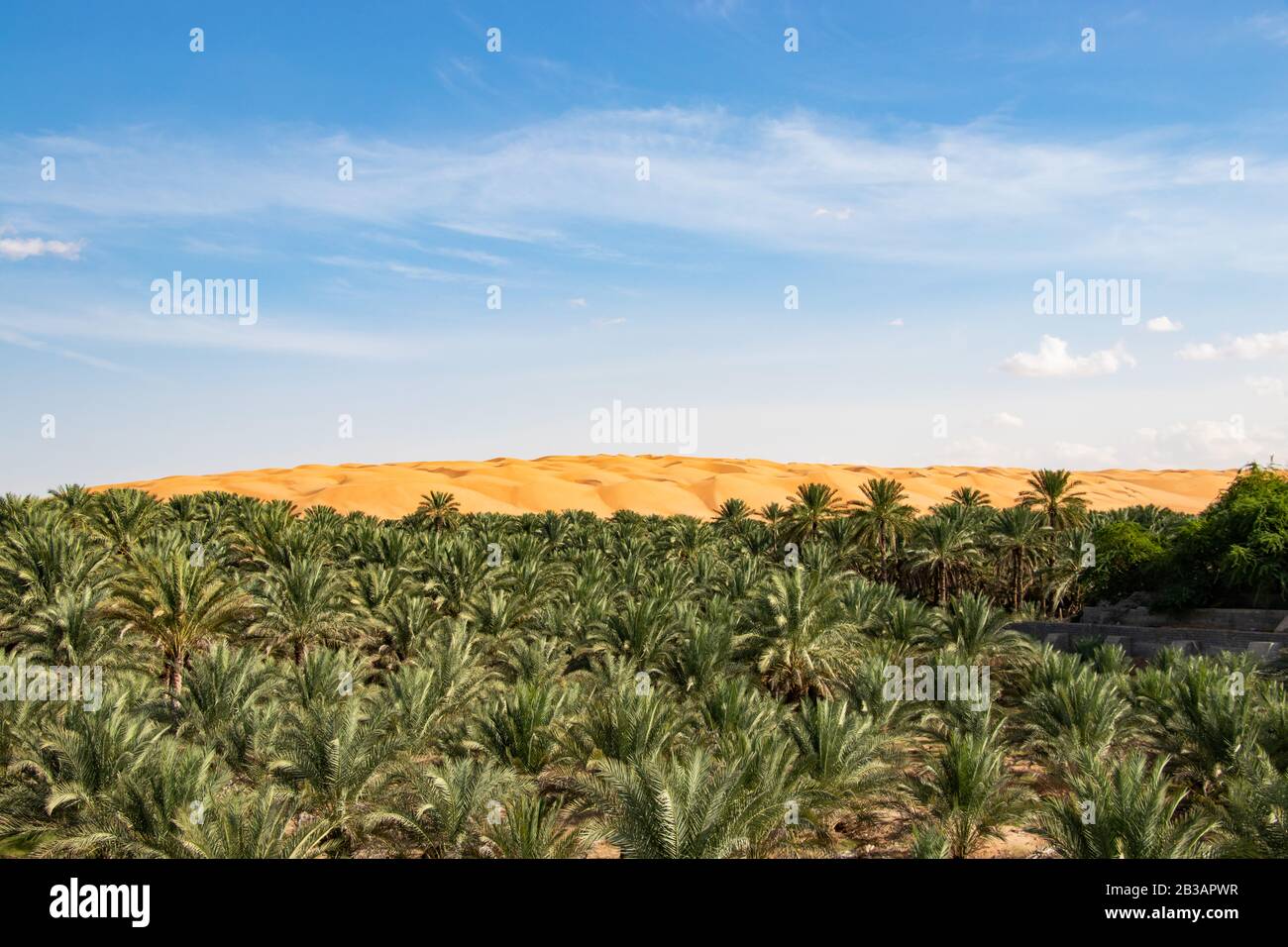 Arabian Desert Oasis Town
