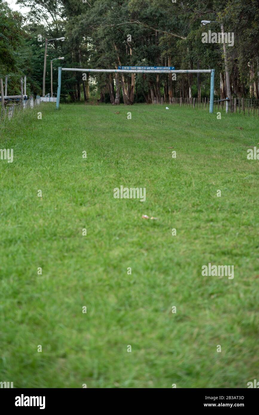 Pato horse hi-res stock photography and images - Alamy