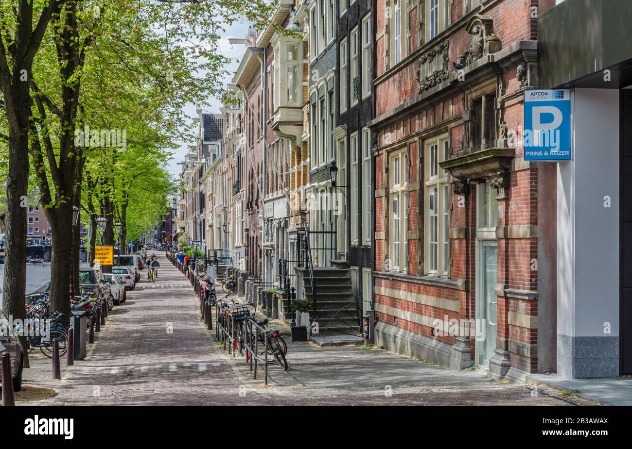 Beautiful pavements in Amsterdam full of trees Netherlands Stock Photo ...