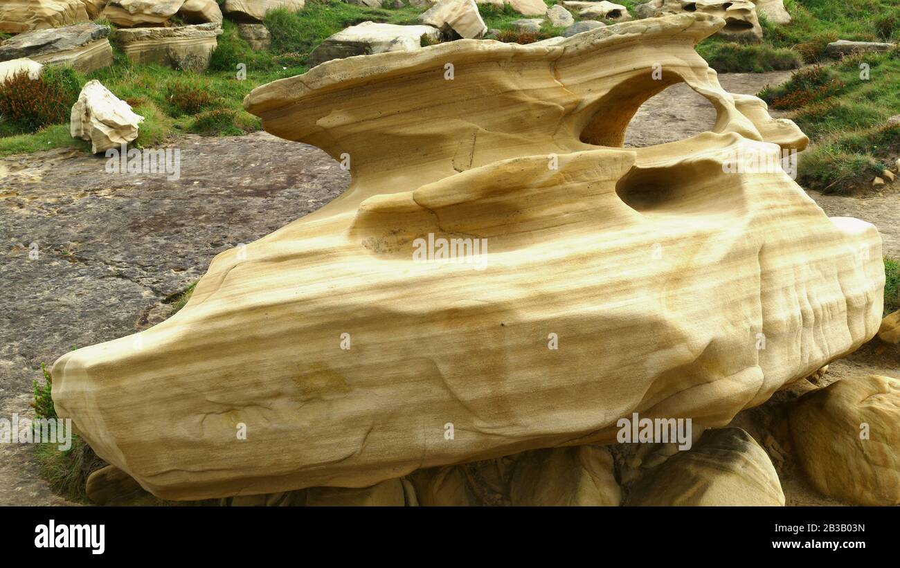 Detail of the erosion of a limestone on the mountain Stock Photo - Alamy