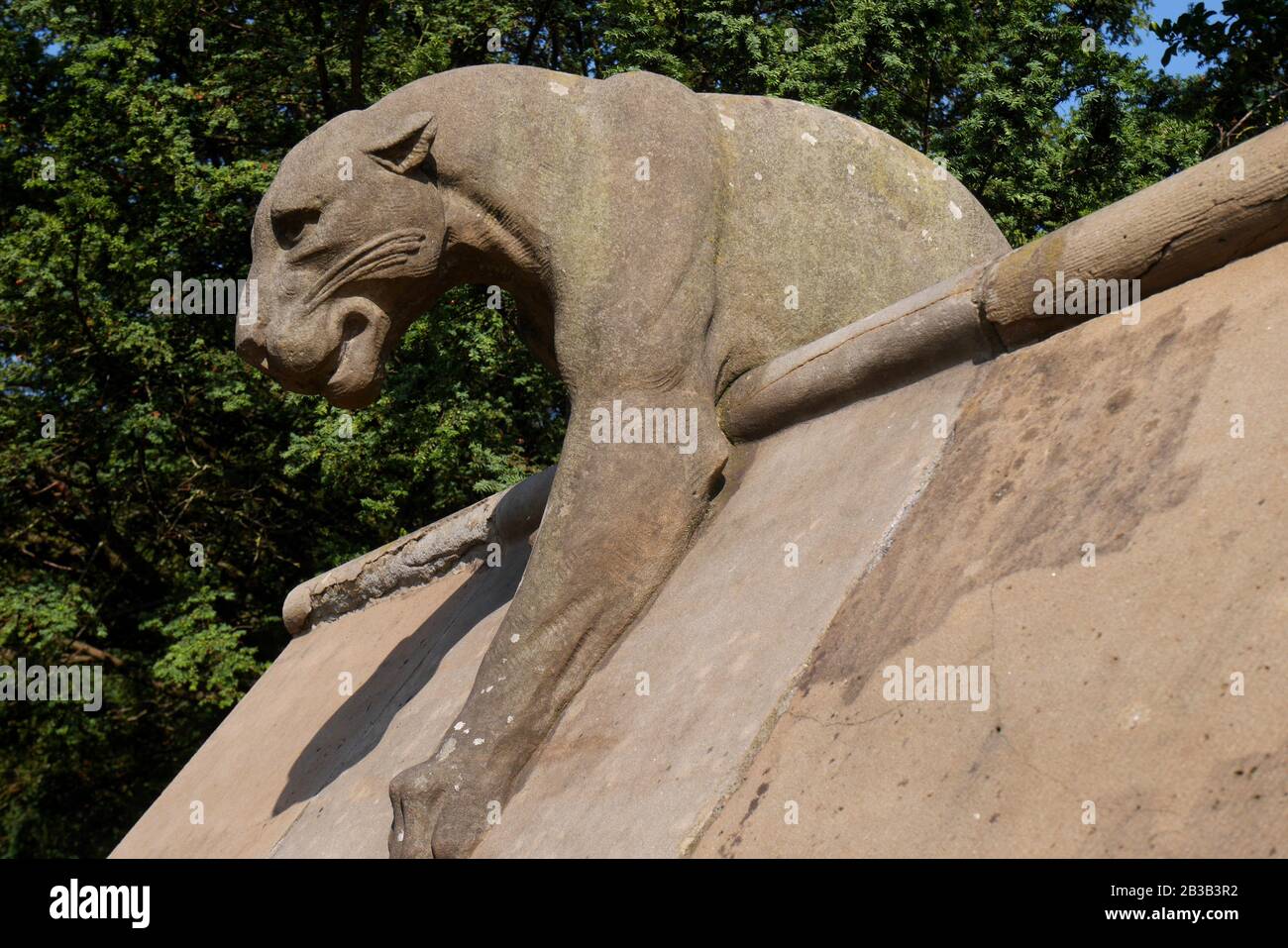 Leopard capital hi-res stock photography and images - Alamy