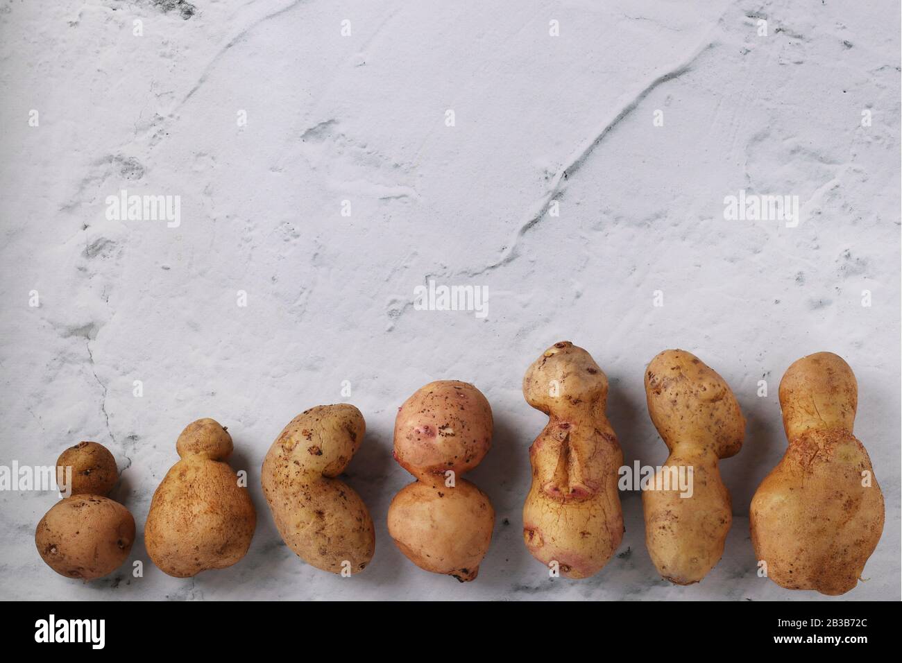 Ugly organic abnormal potatoes on marble background, Concept organic ...