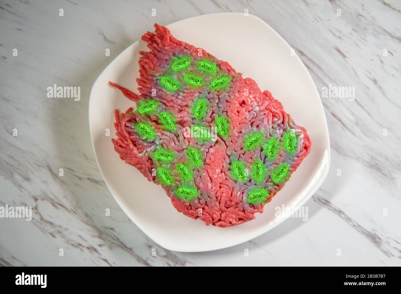 Ground beef meat infected with escherichia coli also known as Ecoli ...