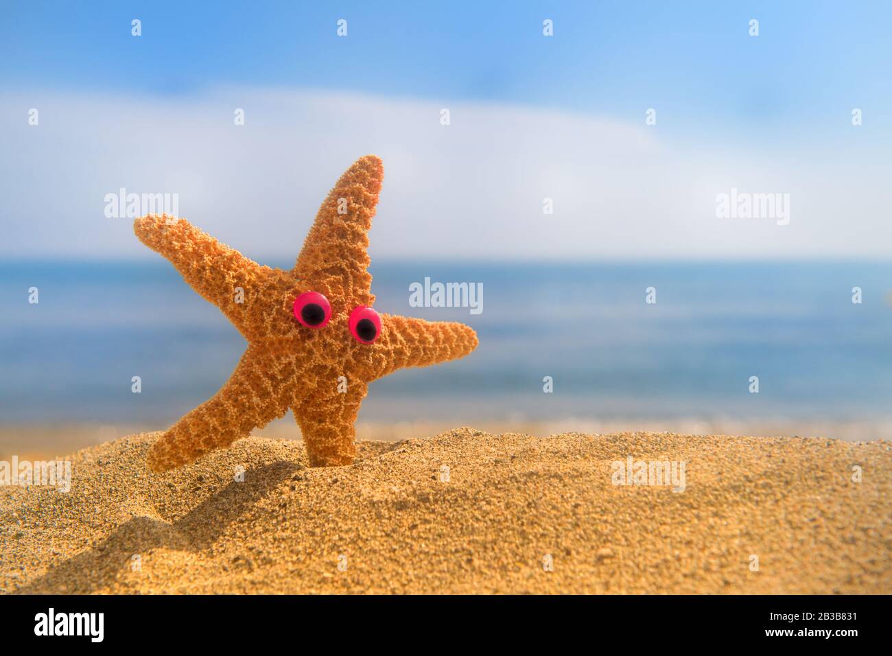 Starfish Eyes