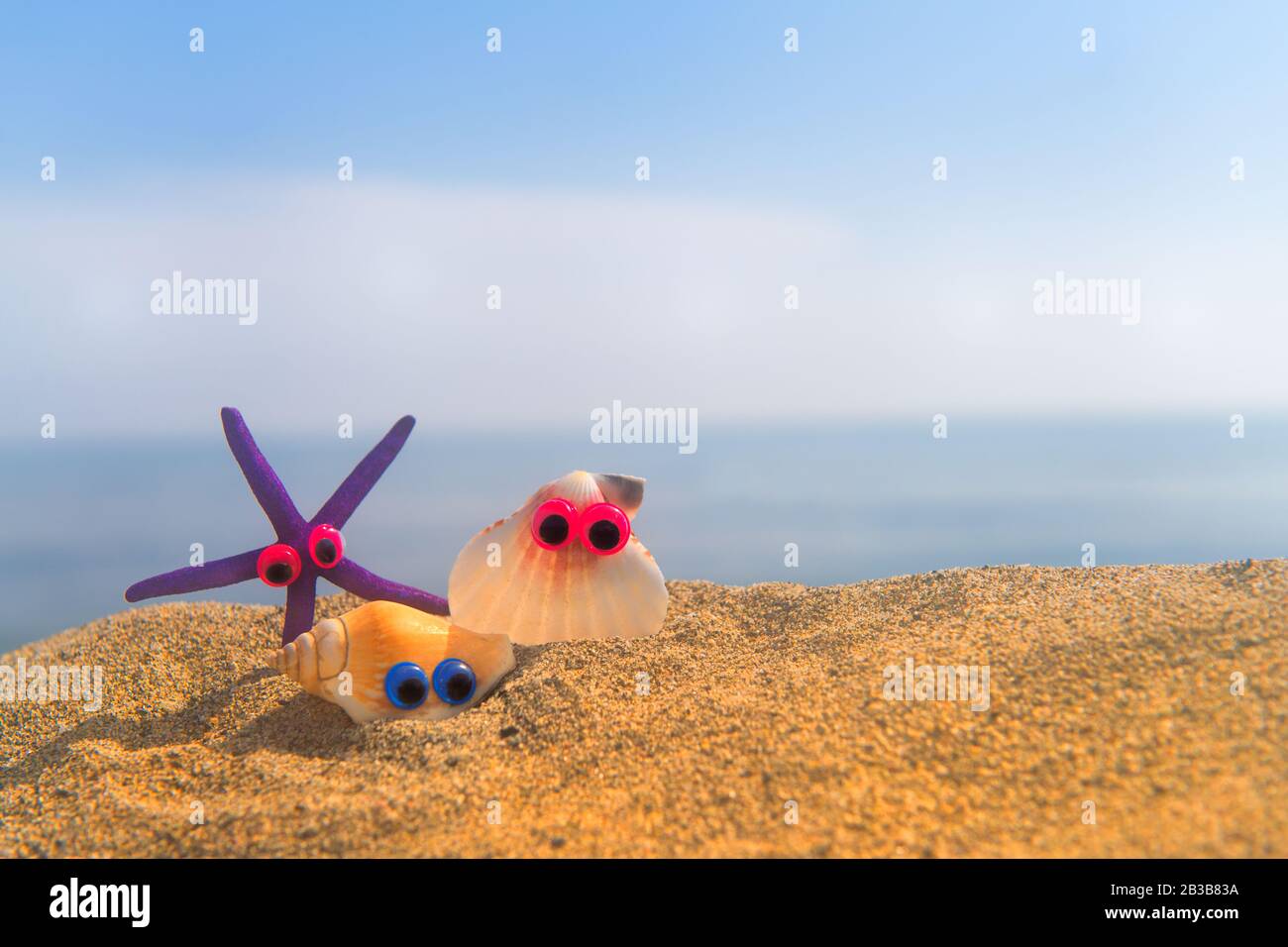 Funny shells with eyes at the beach with the sea in the background ...