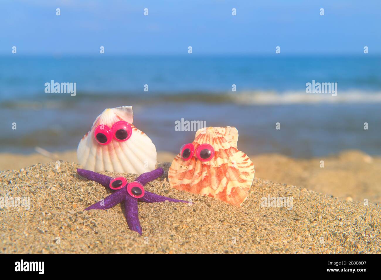 Funny shells with eyes at the beach with the sea in the background ...
