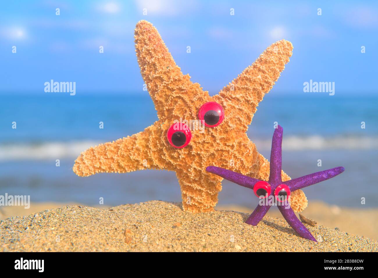 Funny star fishes with eyes at the beach with the sea in the background ...