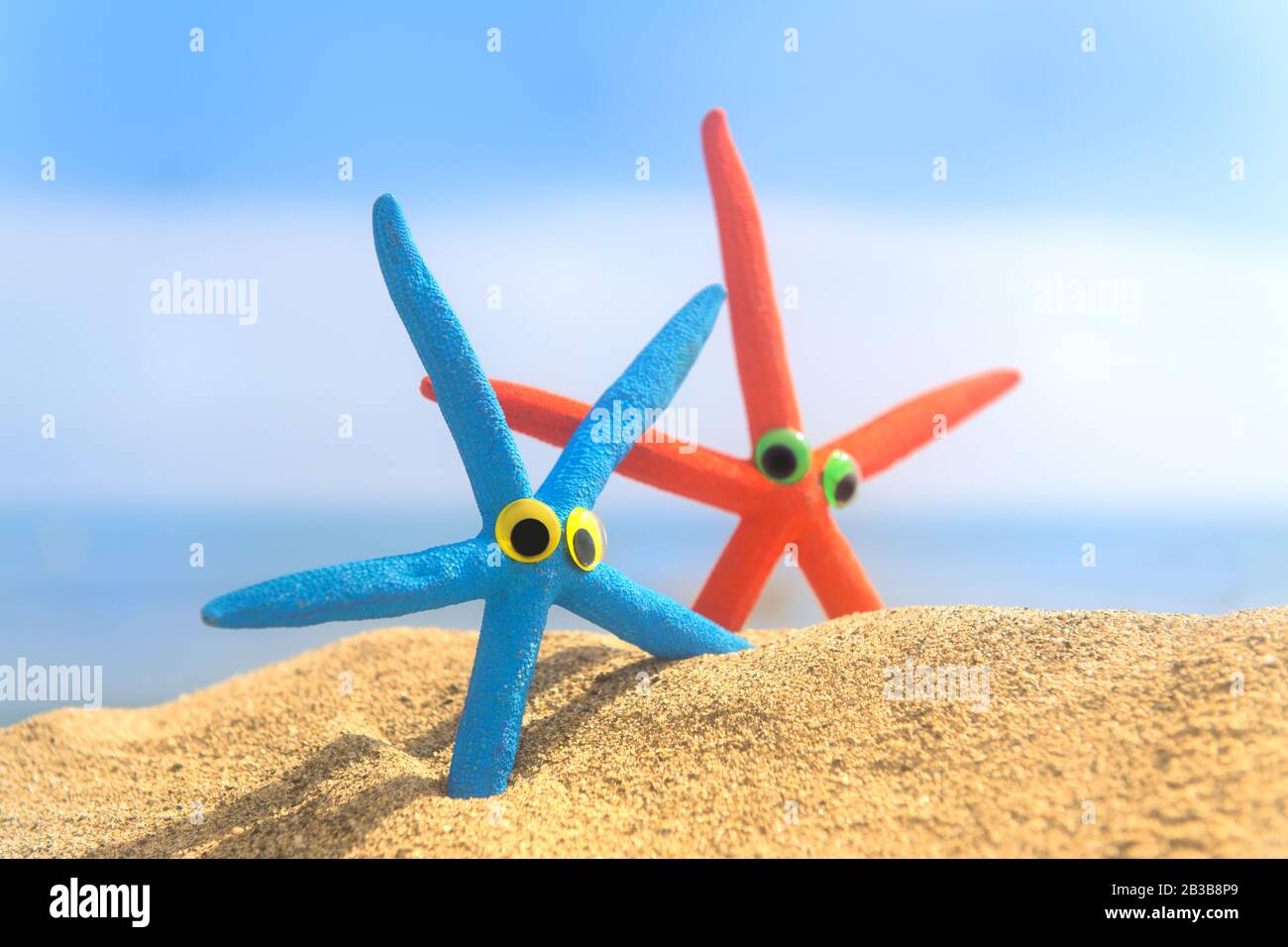 Funny shells eyes beach hi-res stock photography and images - Alamy