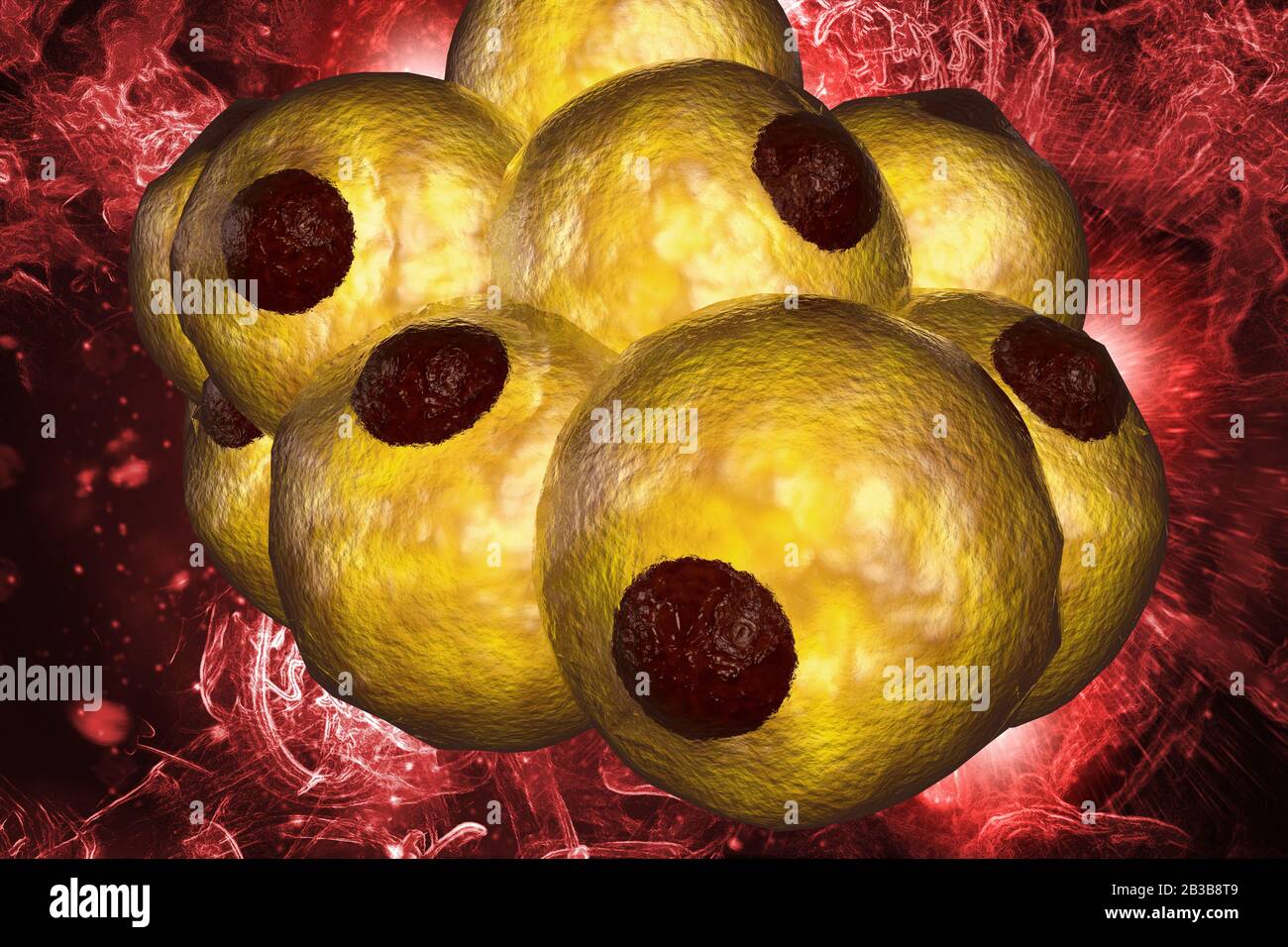 Healthy white human fat cells also known as adipocytes 3d illustration ...