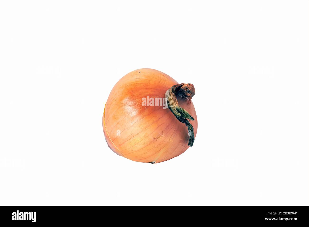 Section single red onion sliced hi-res stock photography and images - Alamy