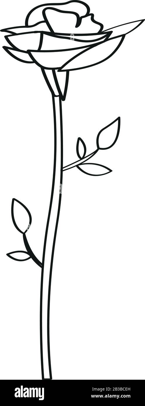 Outline of a rose Stock Vector Image & Art - Alamy
