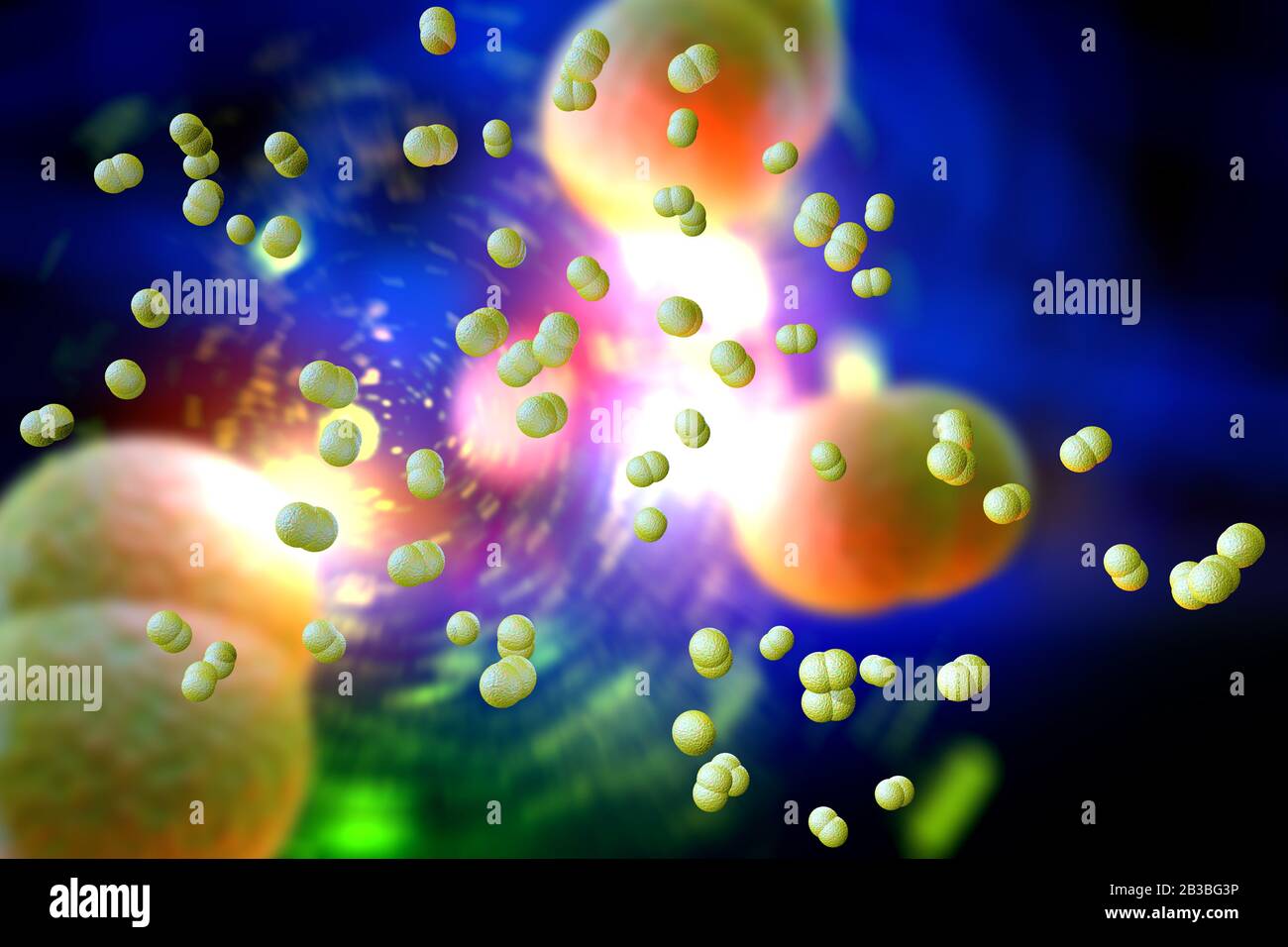 Microscope close up of meningitis bacteria, also known as meningococcus ...