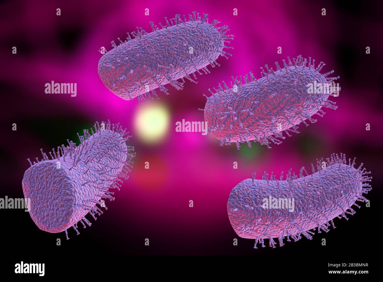 Rabies Virus Under Microscope