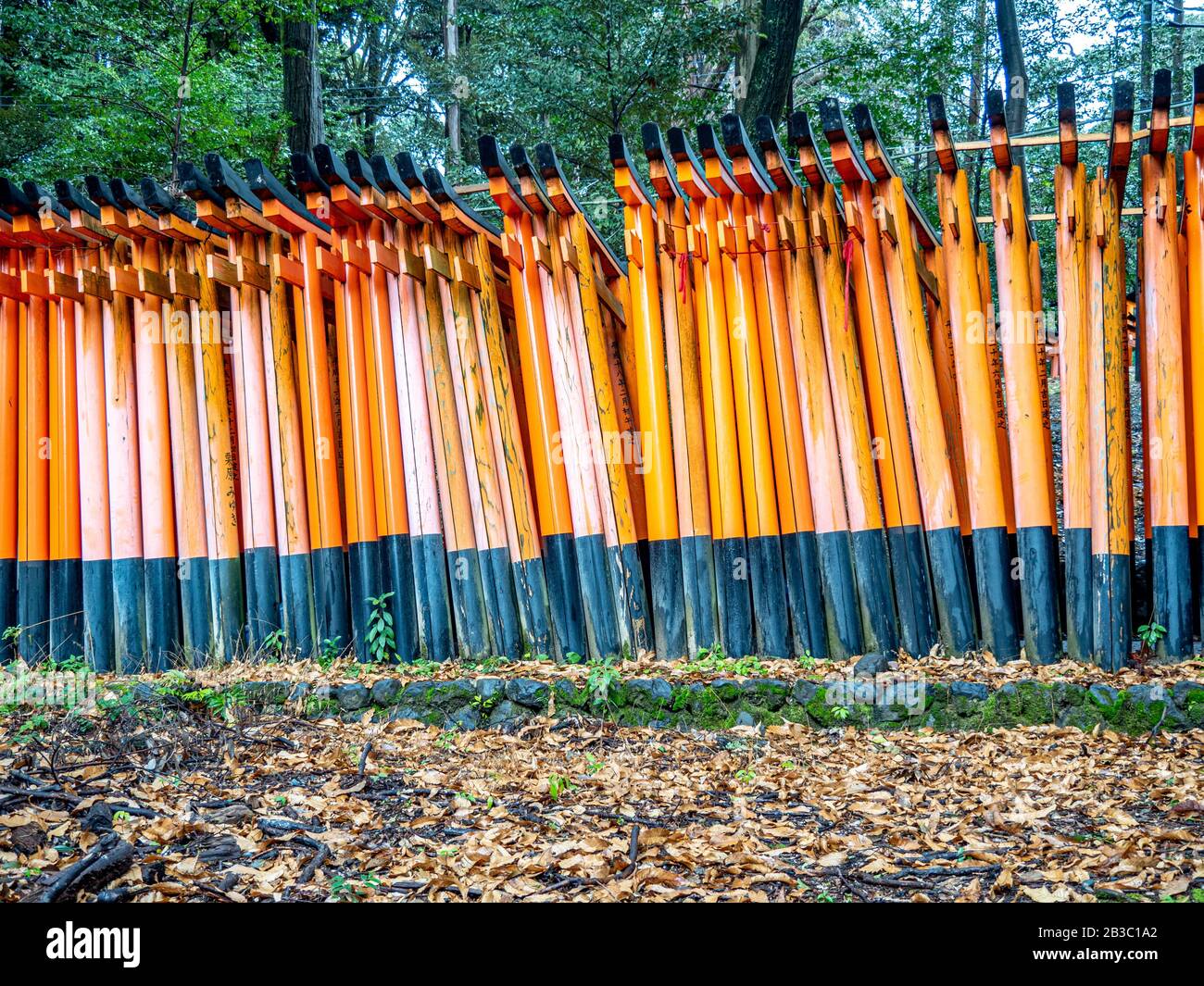 Beautiful orange tori gates line the path to the Fushimi Inari Taisha ...