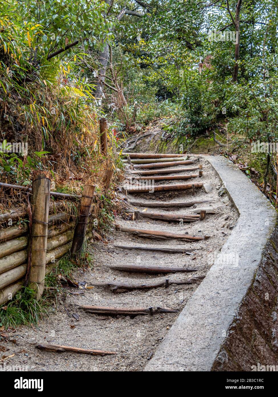 Curved Walkway Up A Hill 34 Curved Sidewalk Ideas | Backyard