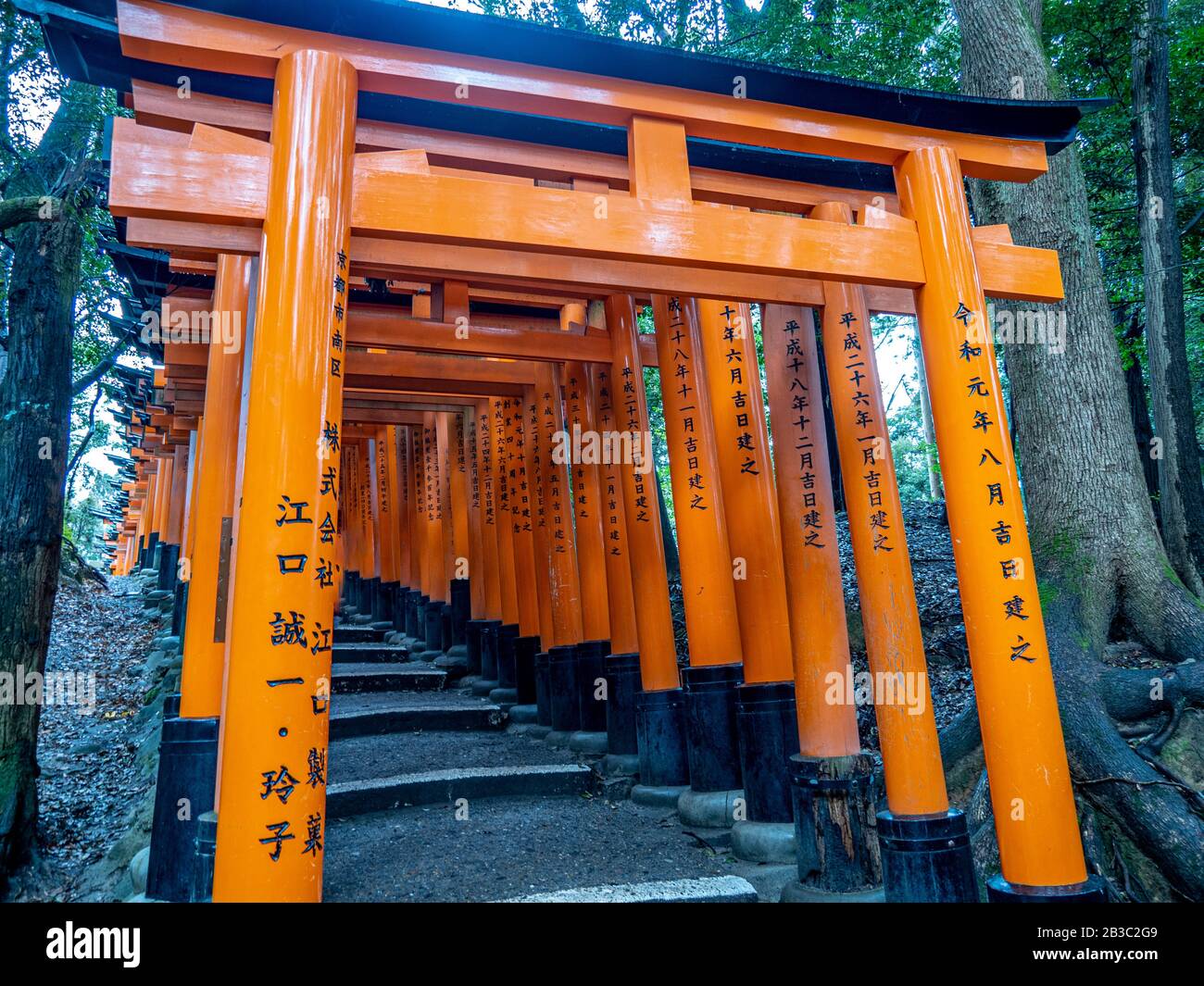 Beautiful orange tori gates line the path to the Fushimi Inari Taisha ...