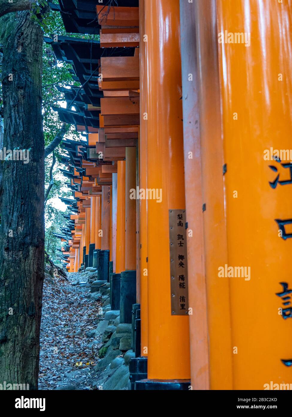 Beautiful orange tori gates line the path to the Fushimi Inari Taisha ...