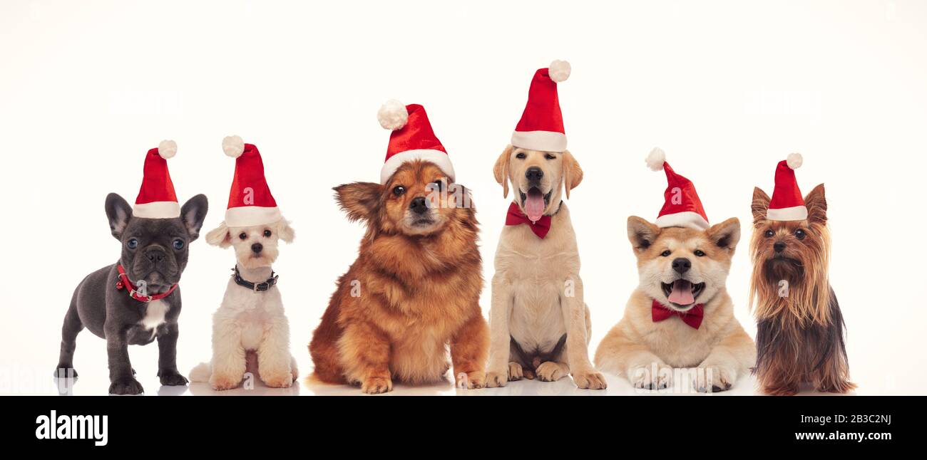 Collage six image santa claus hi-res stock photography and images - Alamy