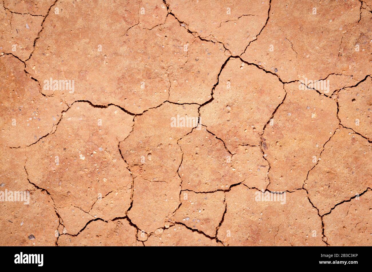 Full frame background of dry cracked light red colored earth Stock ...