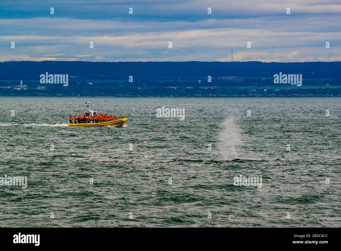 Zodiac boat hi-res stock photography and images - Alamy