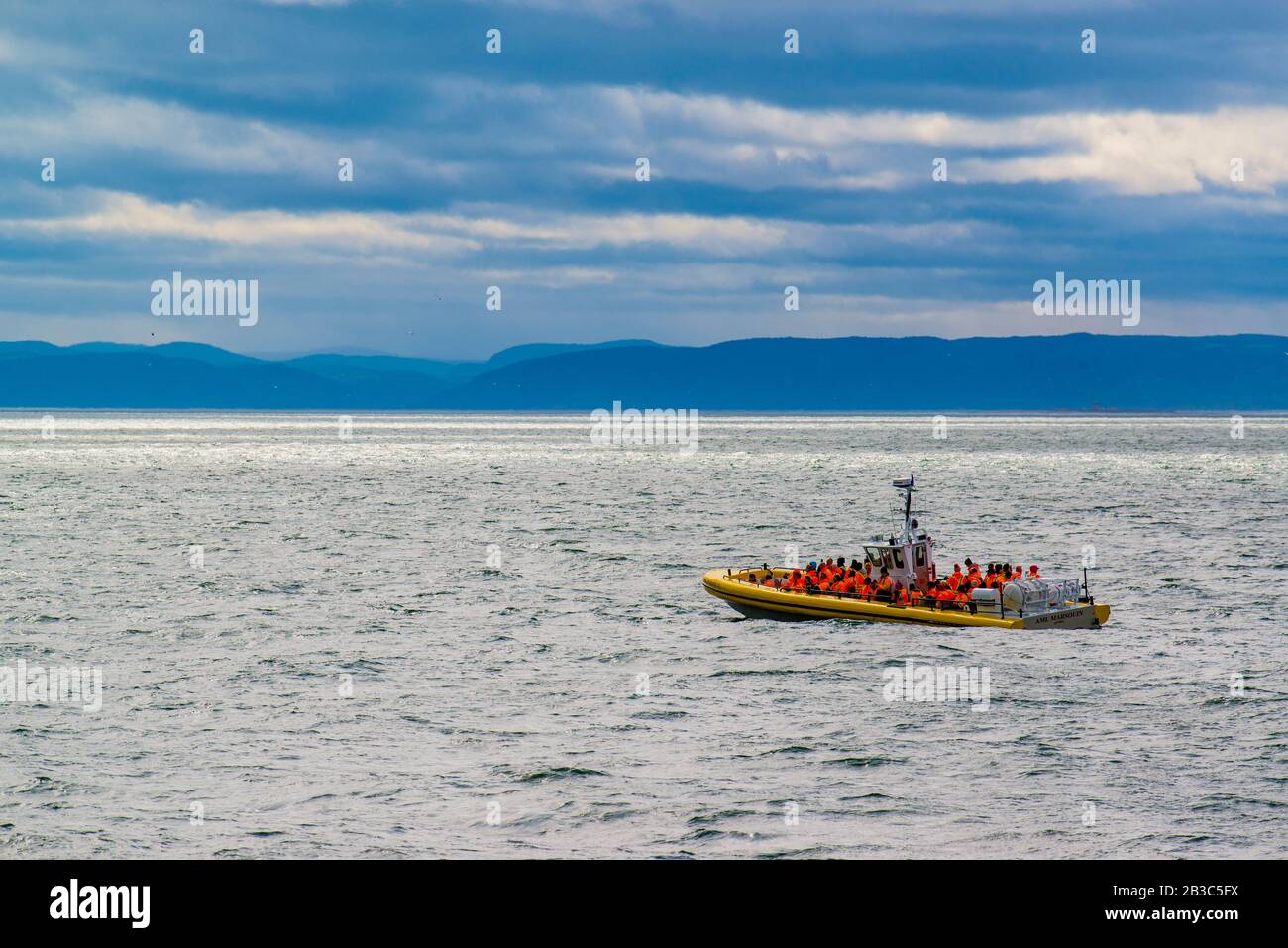 The whale in the Saguenay River with the Zodiac Boat Stock Photo - Alamy