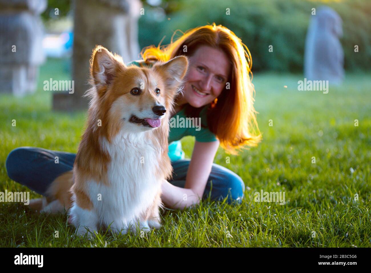 corgi fluffy close up portrait and his owner at the outdoor Stock Photo ...