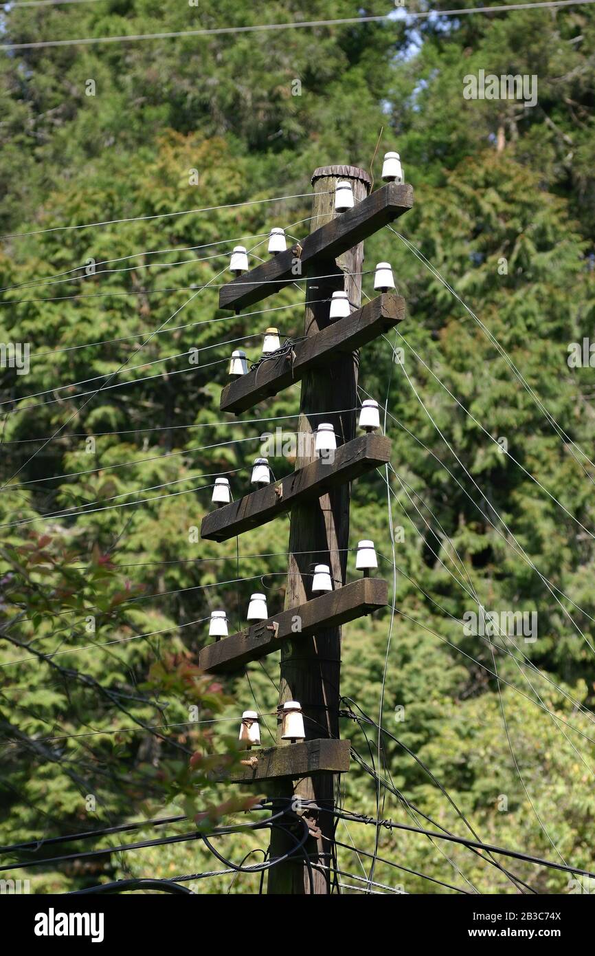 Close up shot of the utility pole with power lines at Alishan, Taiwan ...