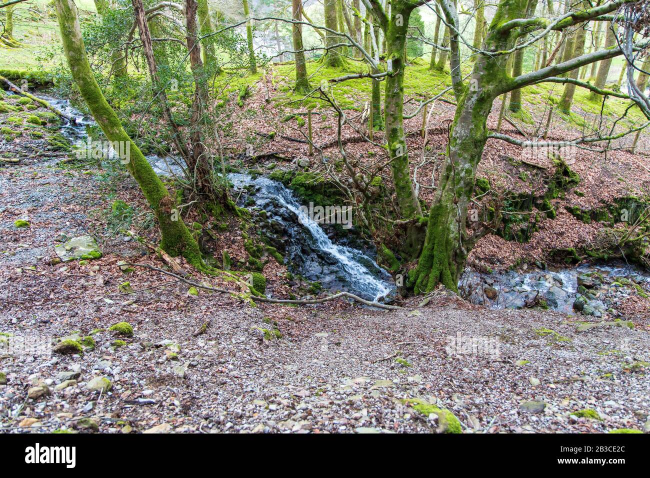 Water streams whilst Walking through Ambleside, Lake District Stock ...