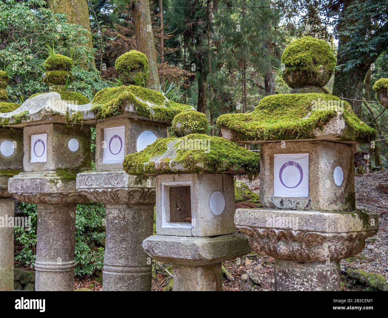 Japanese stone lanterns covered with moss in Nara, Japan Stock Photo ...