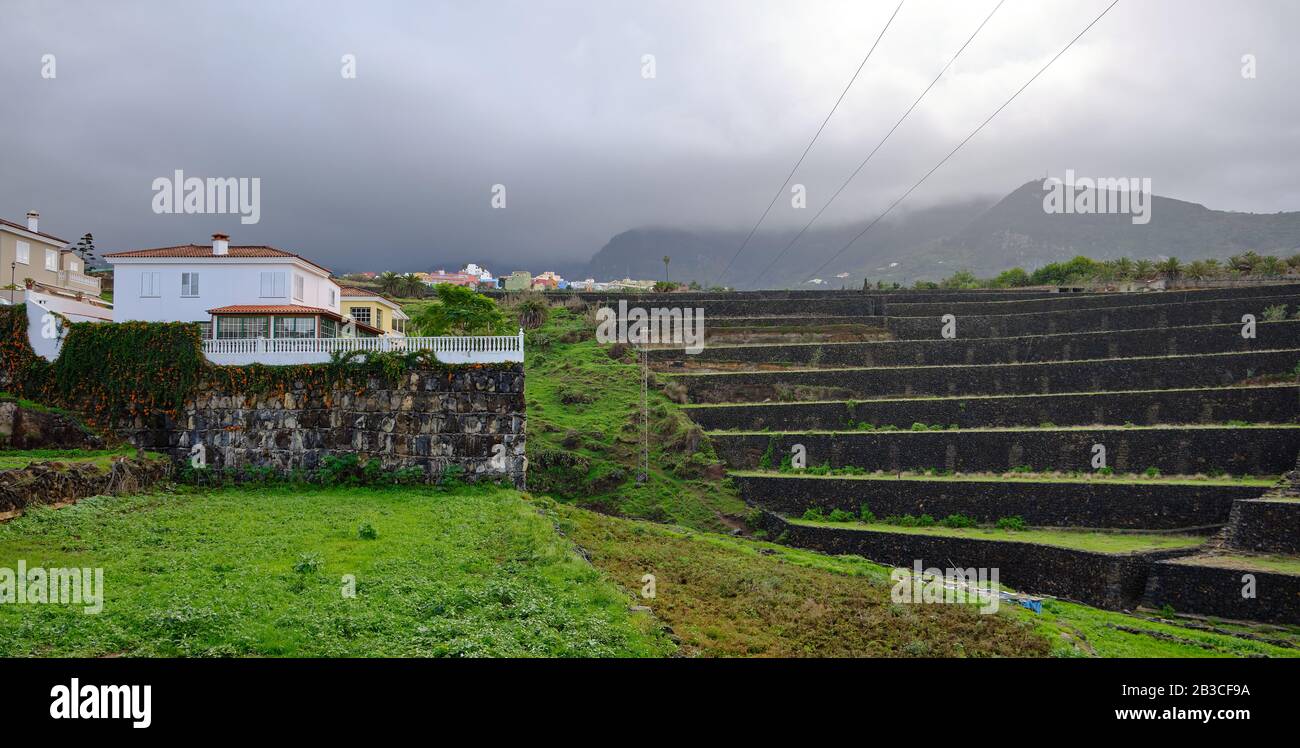 Crops in terraces in the area of Tenerife, Canary Islands, Spain Stock ...