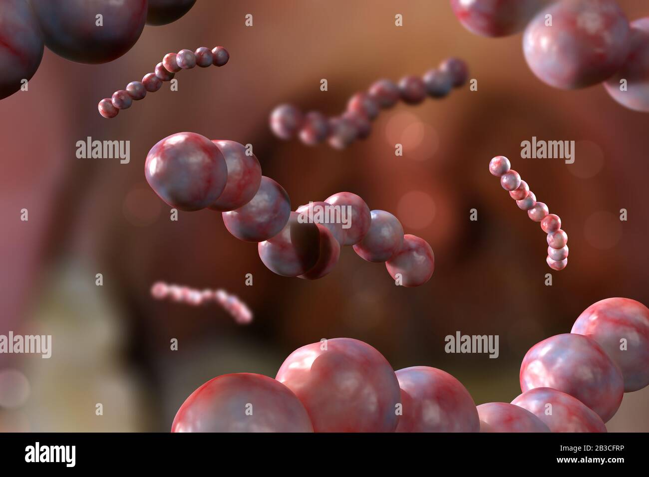Strep Throat Bacterial Cell