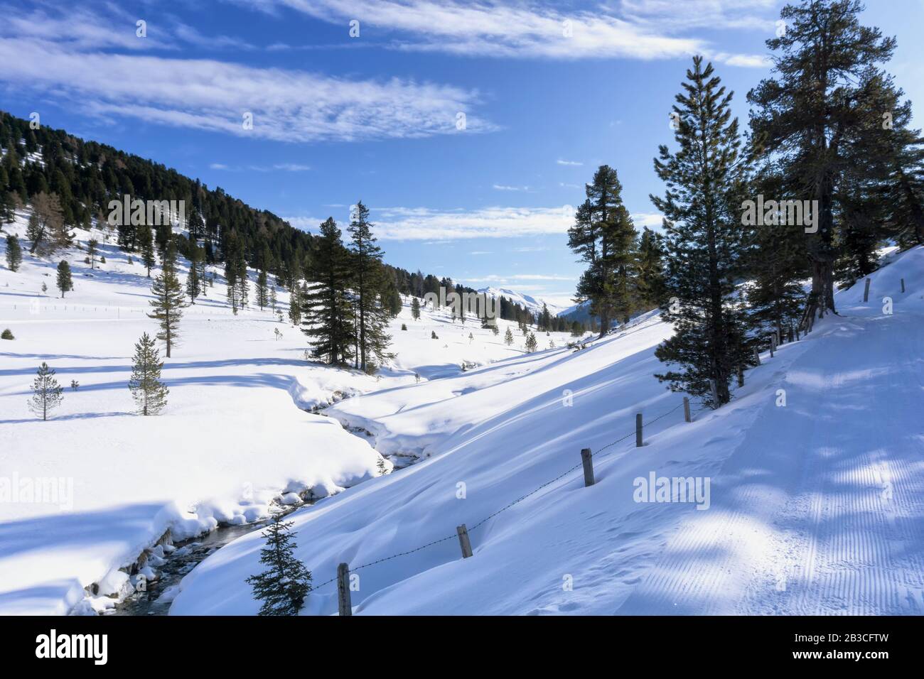Schonfeld High Resolution Stock Photography and Images - Alamy