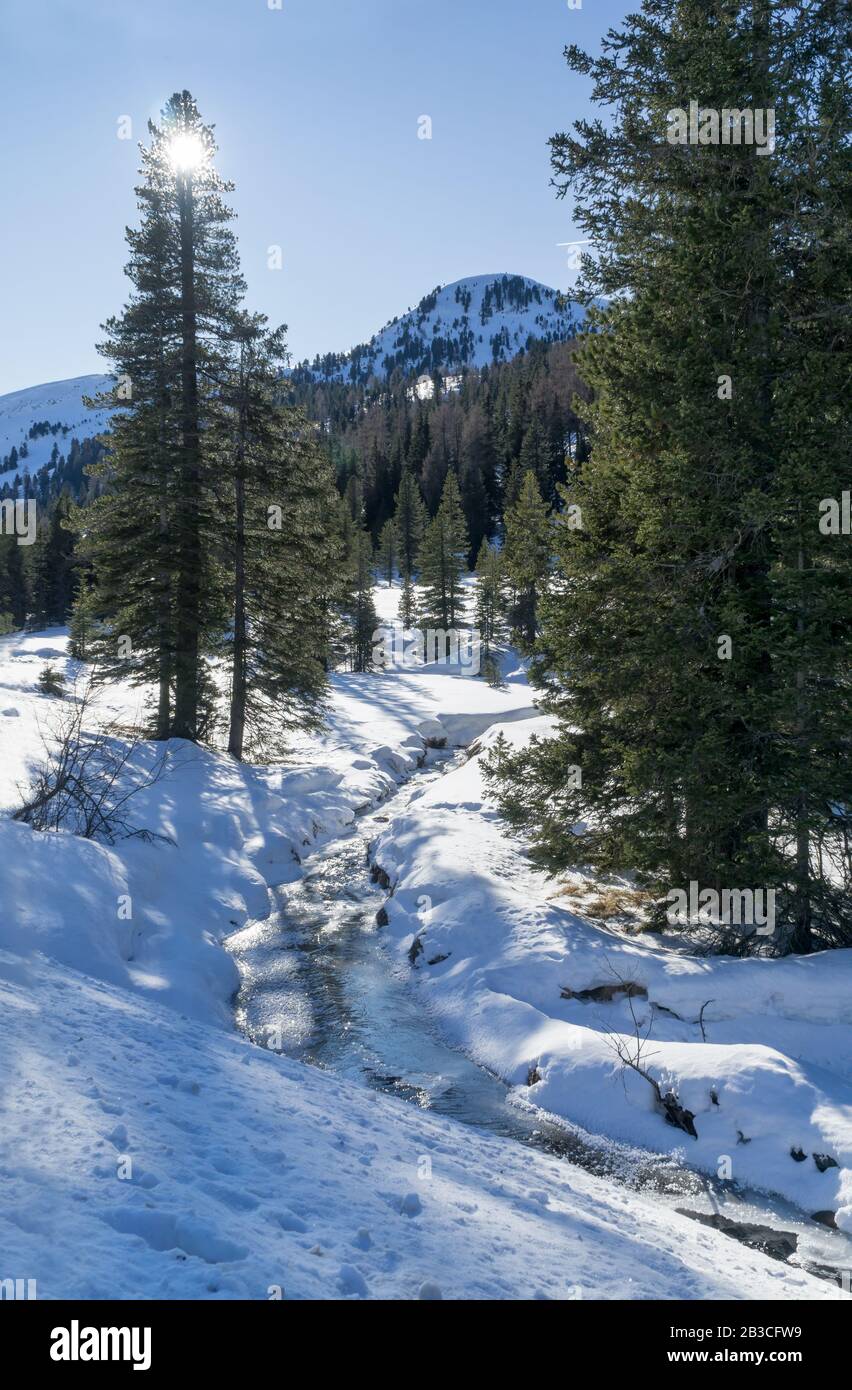 Schonfeld High Resolution Stock Photography and Images - Alamy