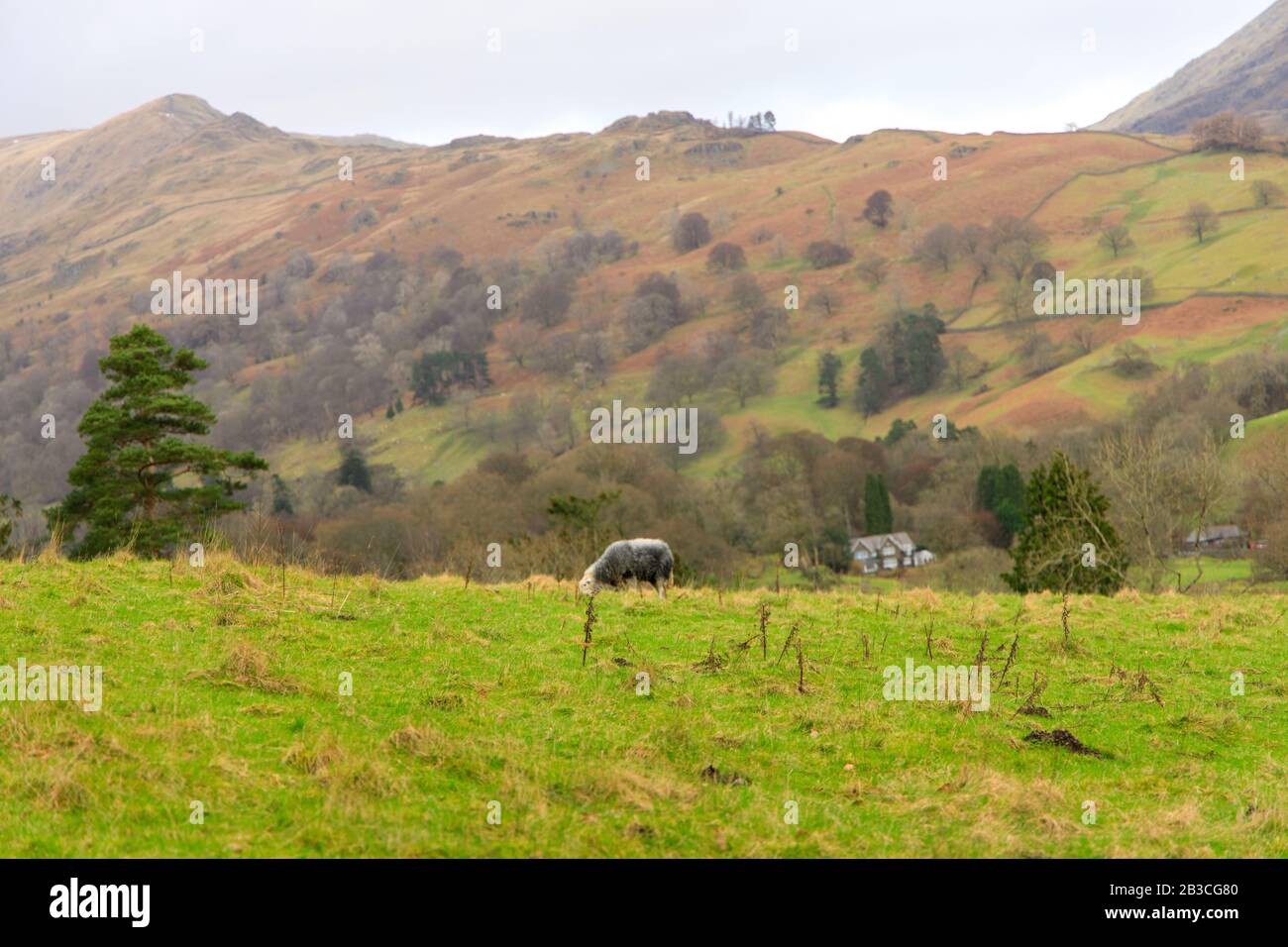 Walk through Ambleside, Lake District Stock Photo - Alamy