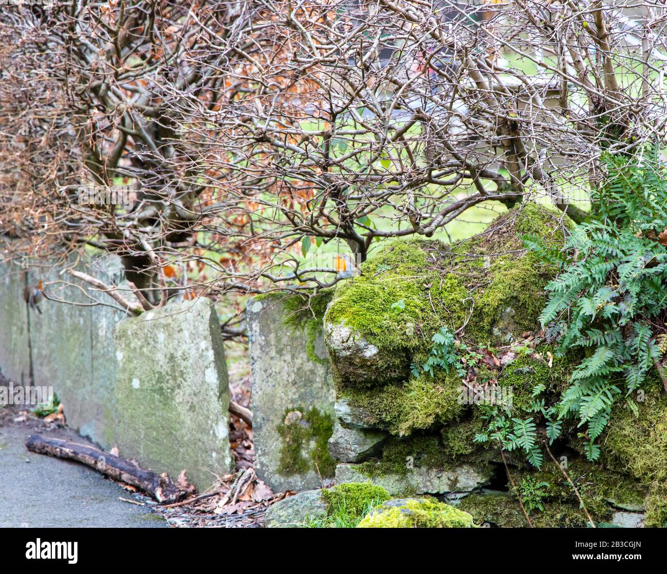 Walk through Ambleside, Lake District Stock Photo - Alamy
