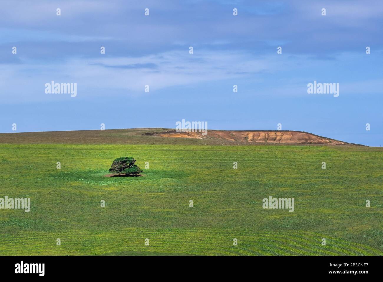 Australian landscape land blue sky sunny summer hi-res stock ...