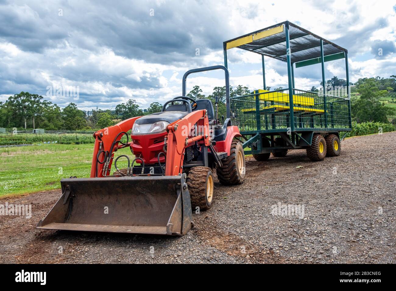 Farm bulldoser towing cage cart with yellow benches Stock Photo - Alamy