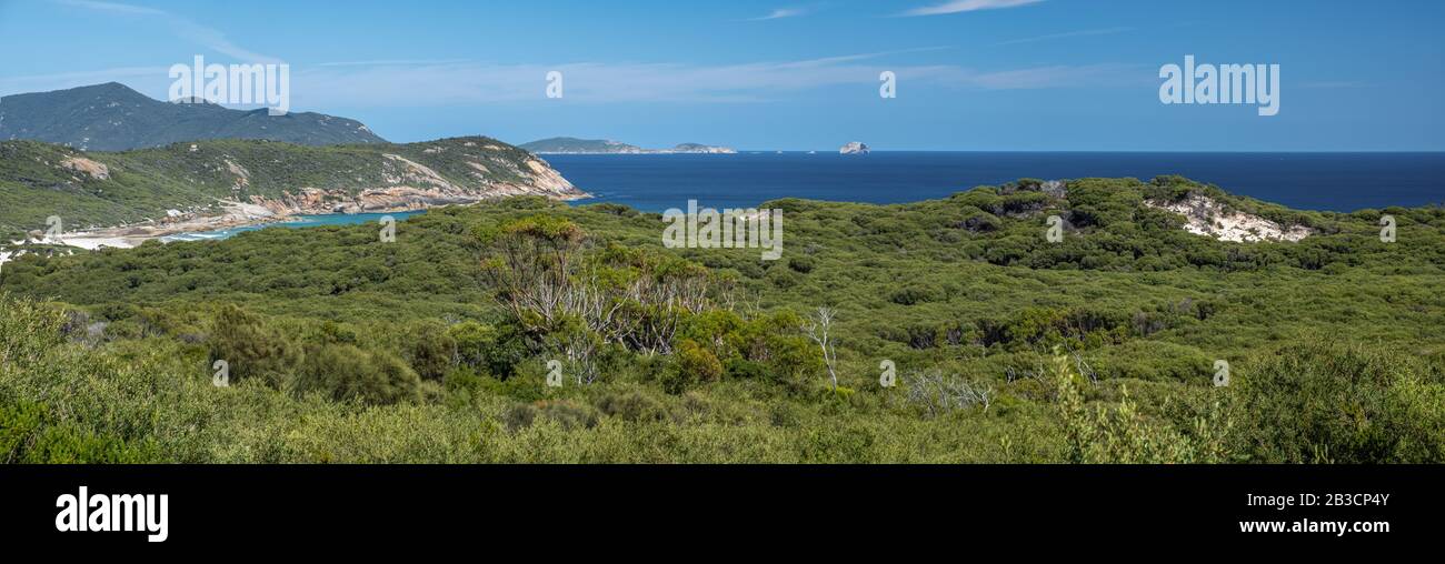 Wide panoramic landscape of native Australian coastal vegetation and ...