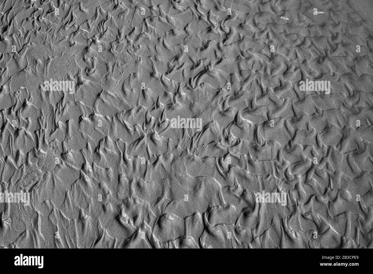 Abstract pattern of wet sand ripples on the beach in black and white ...