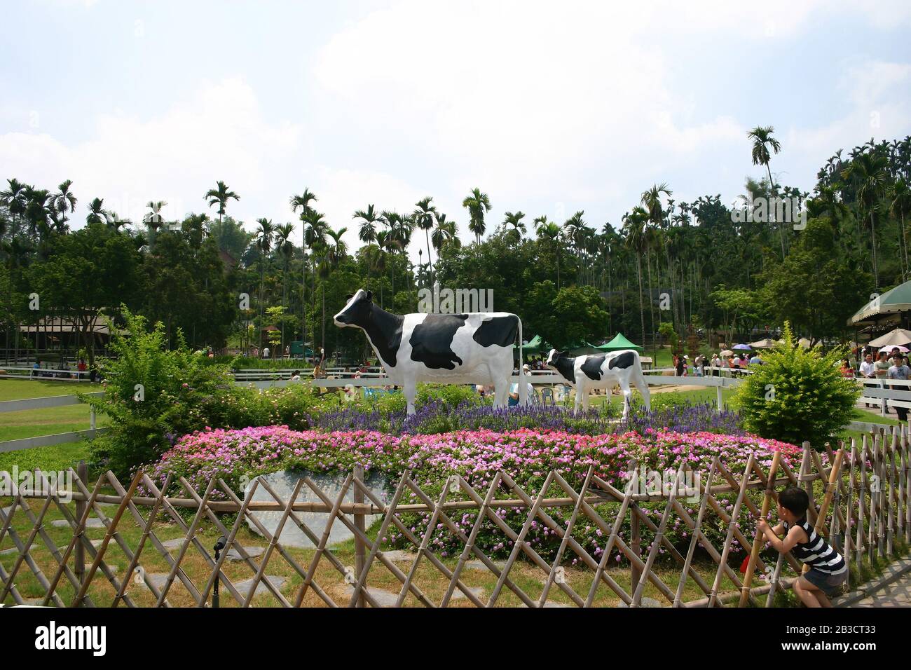 Chiayi, MAY 1: Cow statue in the Greening Ranch on MAY 1, 2004 at ...