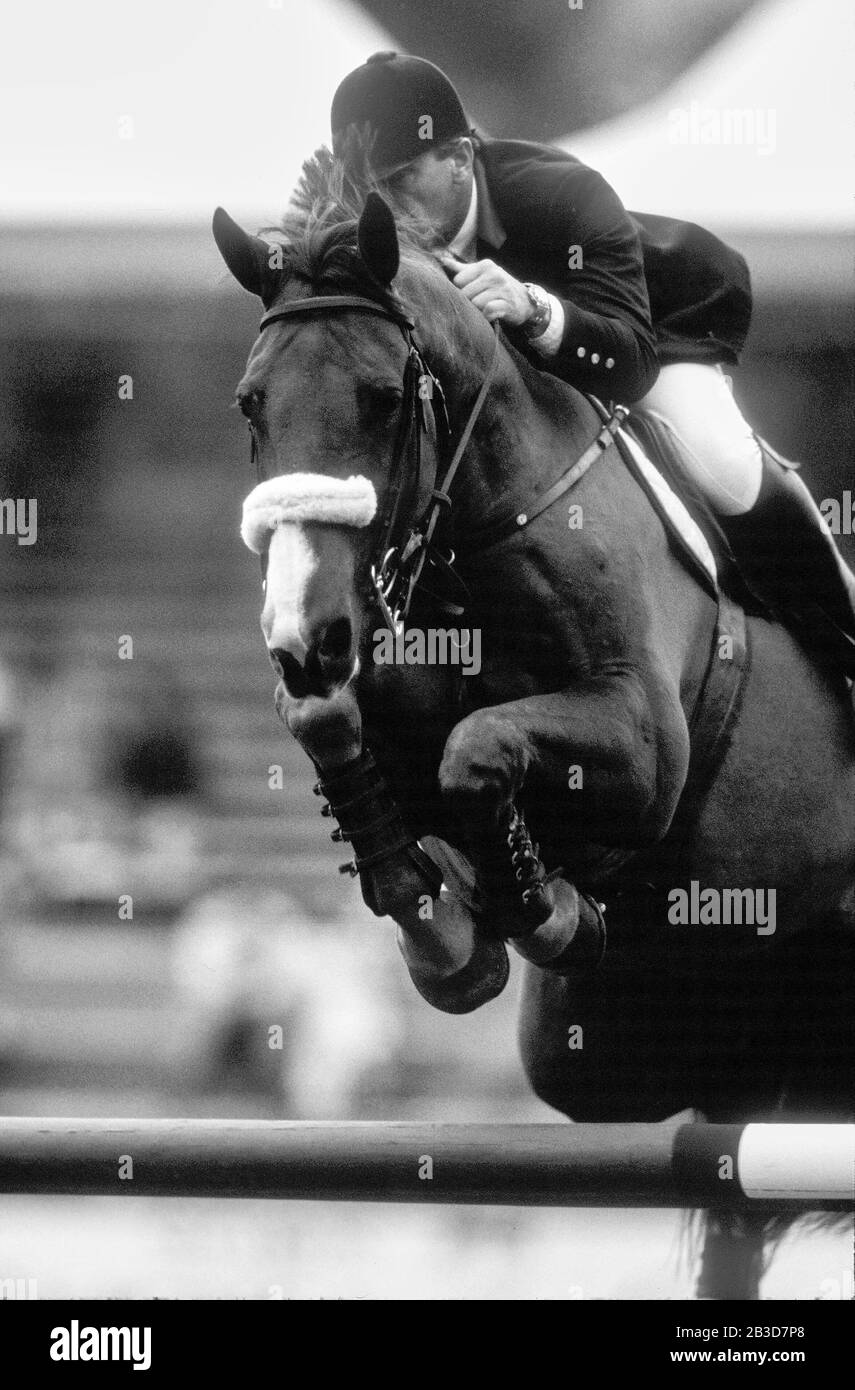 CSI Monterrey October 1995, Herve Godignon (FRA) riding Twist du Vallon Stock Photo - Alamy