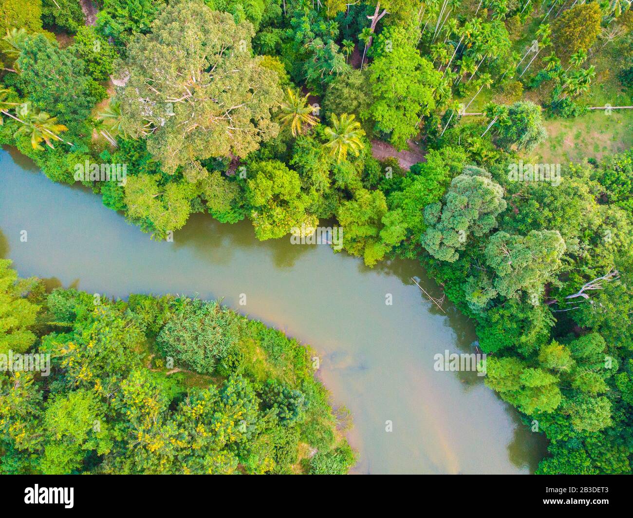 Gabon rainforest aerial hi-res stock photography and images - Alamy